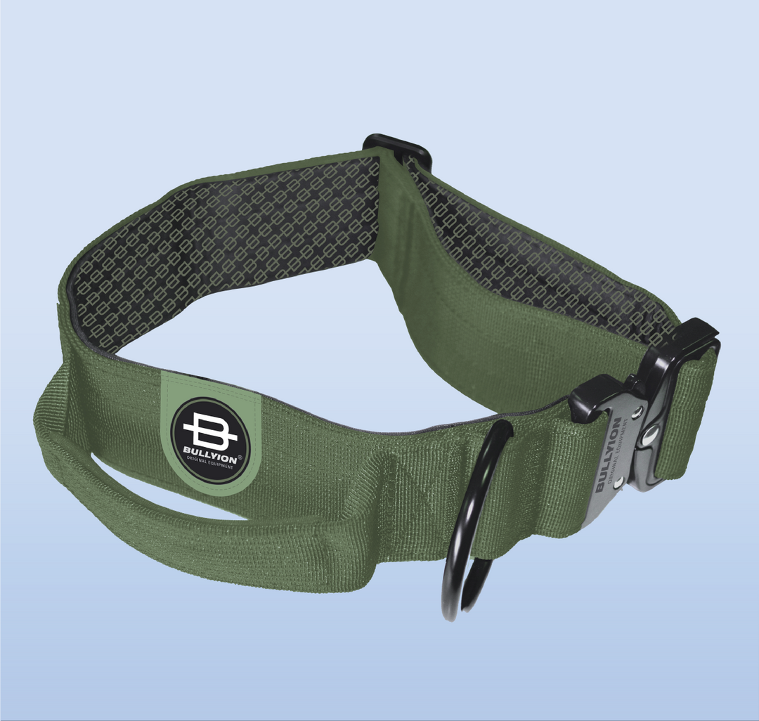 Dog Gear Buying Guide – BULLYION